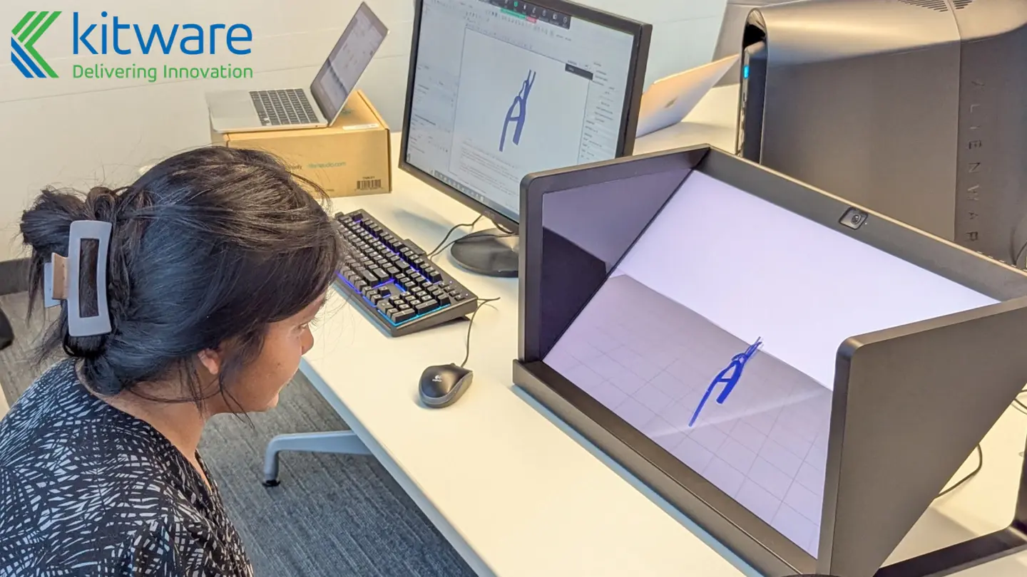 Using Spatial Reality Display (SRD) with Kitware: A Comprehensive Guide ...